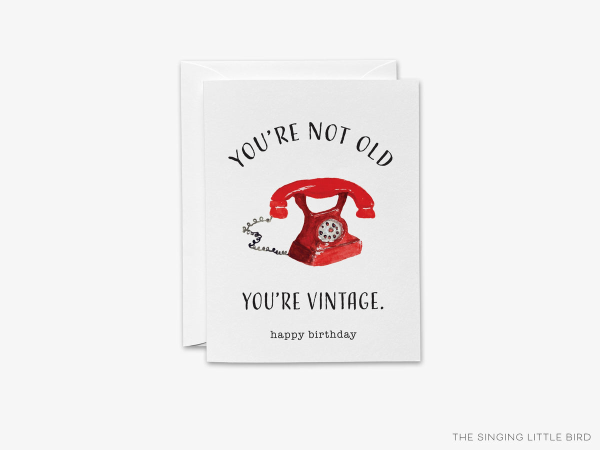 You're Not Old You're Vintage Birthday Card | Liesel Anne Studios